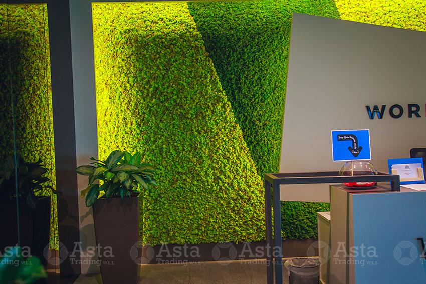 Green Wall | Vertical Garden - Best Preserved Green Wall | Indoor ...