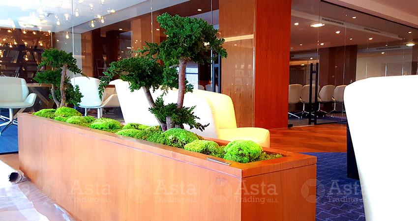 Indoor Lanscape with Preserved TreesLexus Qatar | Asta Trading W.L.L.