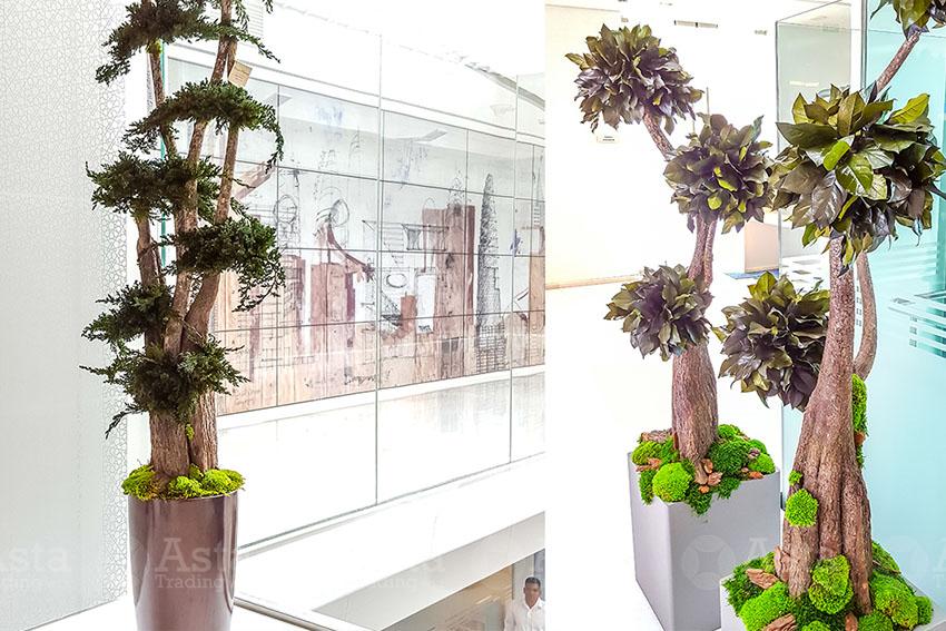 Preserved Trees and Plants - Best Preserved Green Wall | Indoor ...